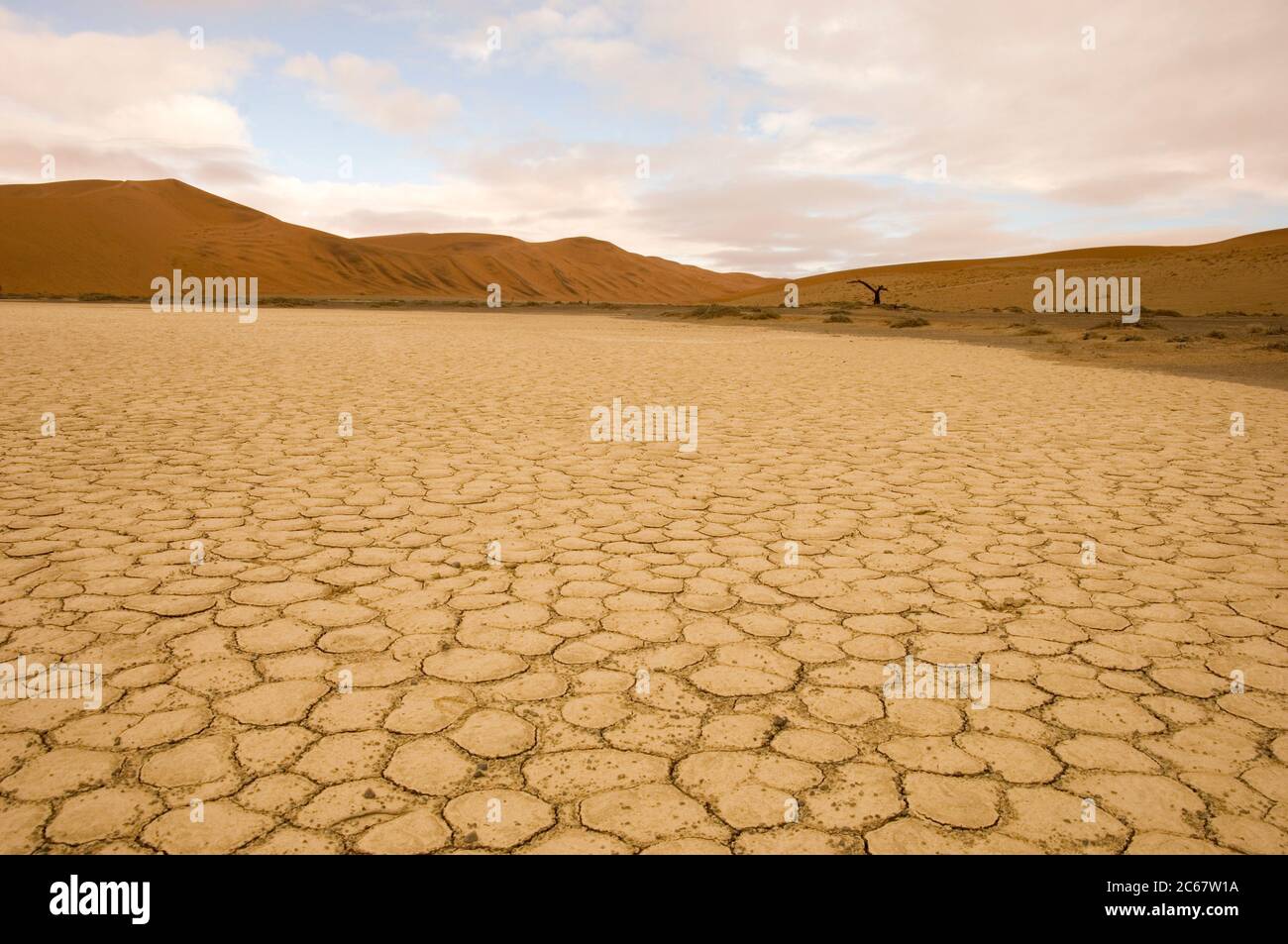 Namib Desert Trekking High Resolution Stock Photography and Images - Alamy