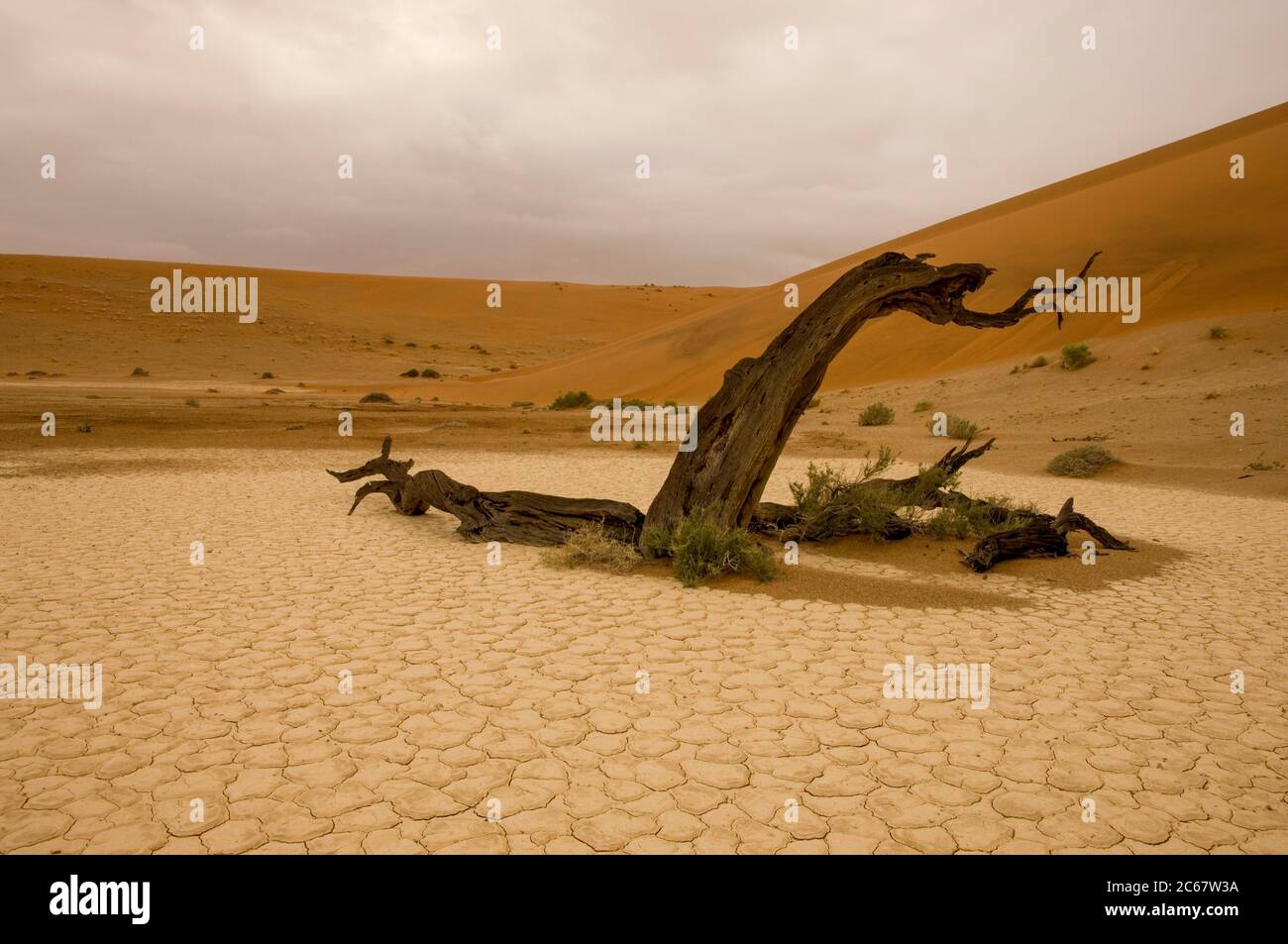 Namib Desert Trekking High Resolution Stock Photography and Images - Alamy