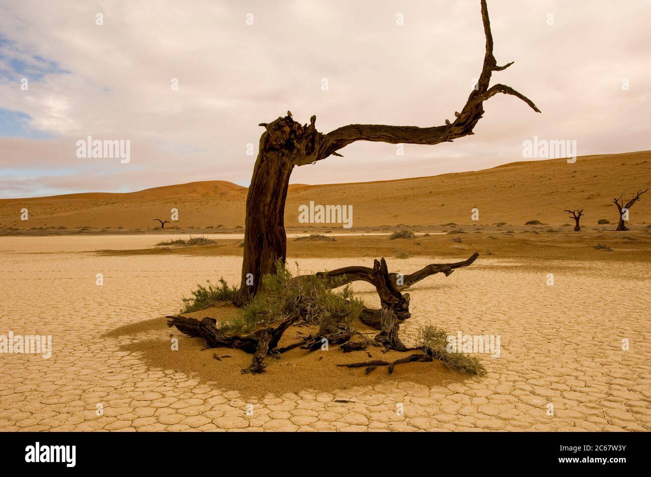 Namib Desert Trekking High Resolution Stock Photography and Images - Alamy