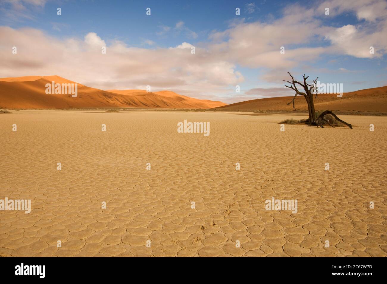 Namibian adventure tourism hi-res stock photography and images - Alamy