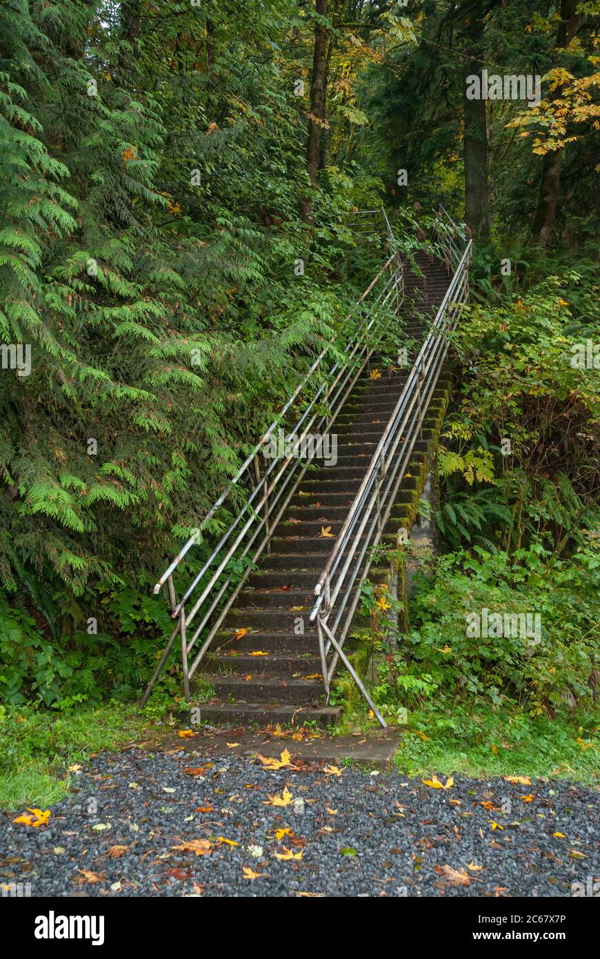 Disappearing stairs hi-res stock photography and images - Alamy