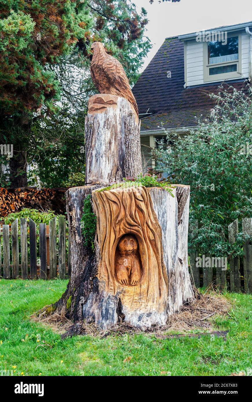 Chainsaw carving on a tree stump, of what may be a bear and an eagle in ...