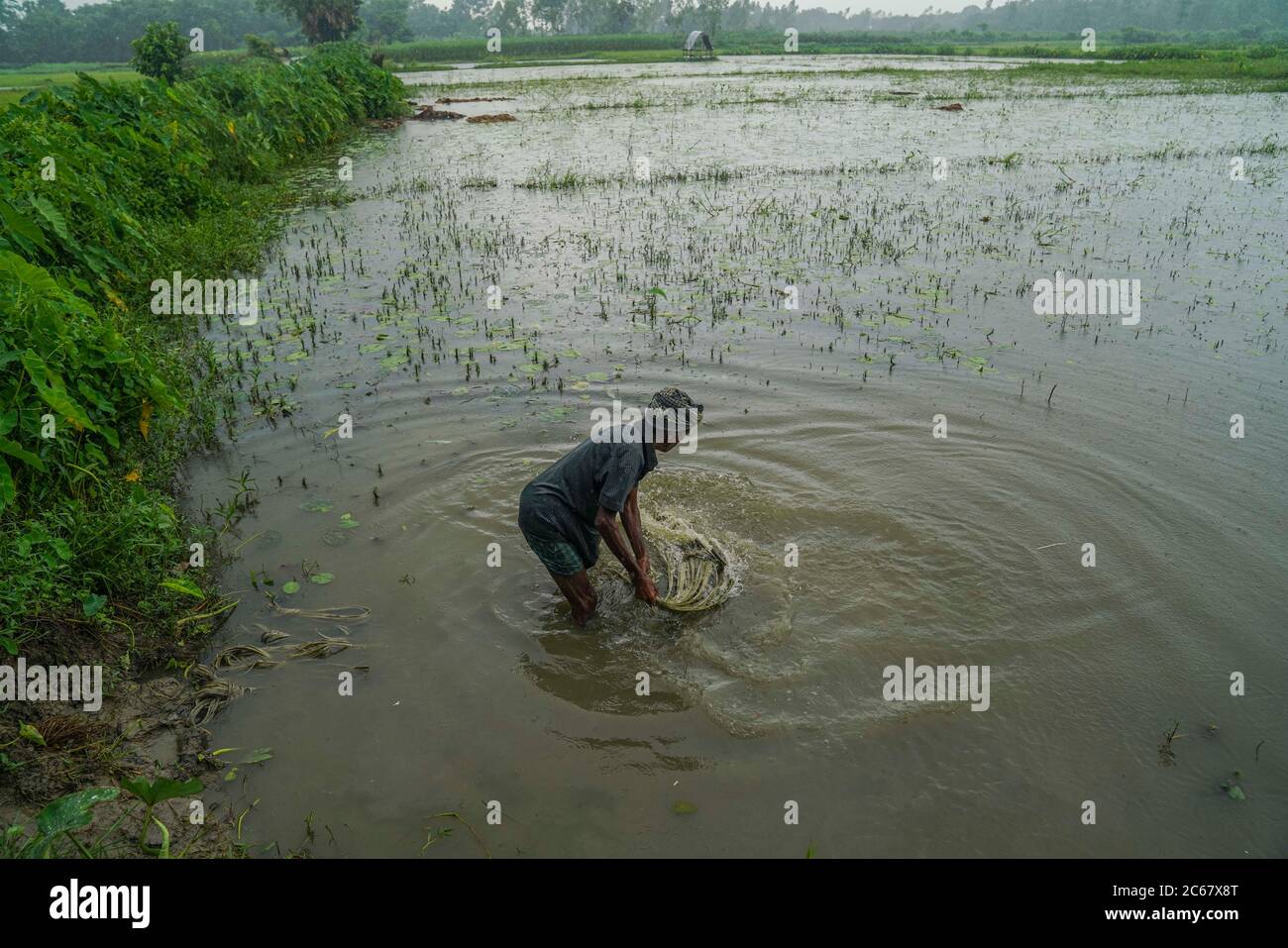 Jute washing hi-res stock photography and images - Alamy
