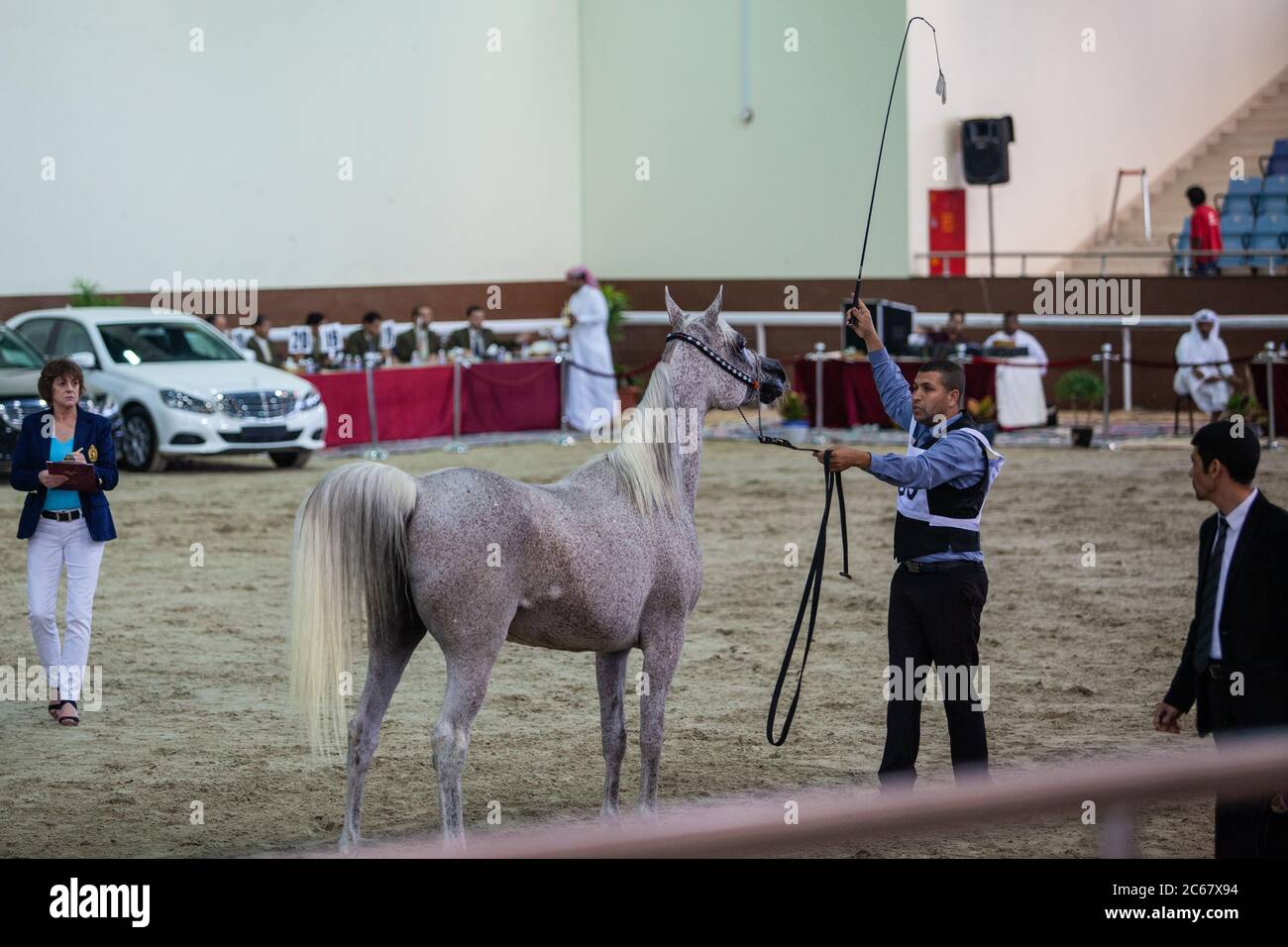 Arabian Horse Show at Qatar Equestrian Federation, Doha. Arabian Horses ...