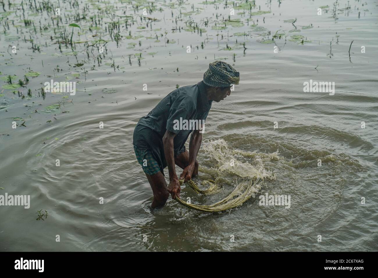 Dhaka, Dhaka, Bangladesh. 6th July, 2020. Bangladeshi farmers seen washing Jute in water in ...