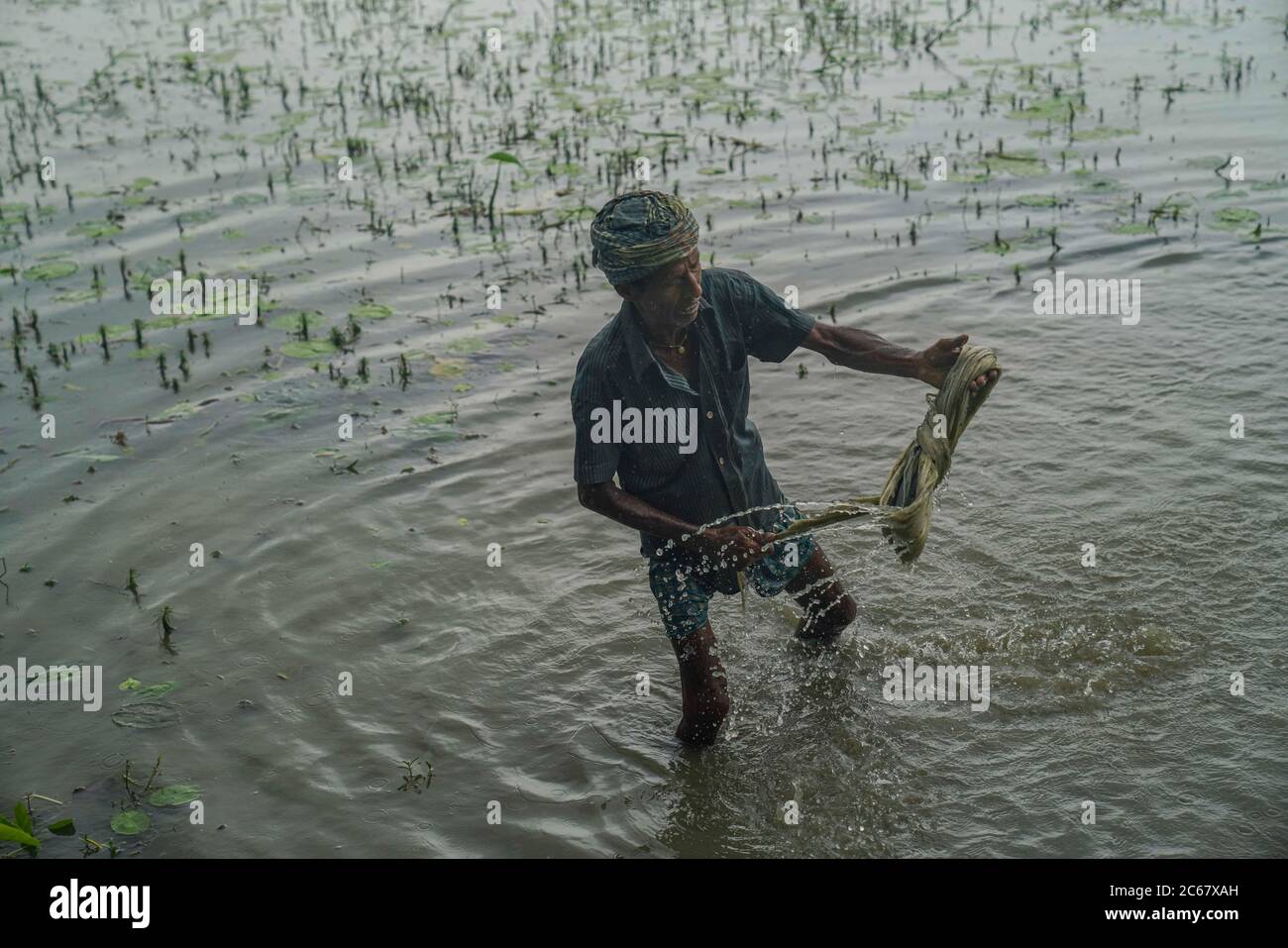 Bangladeshi jute farmer004 jpg hi-res stock photography and images - Alamy