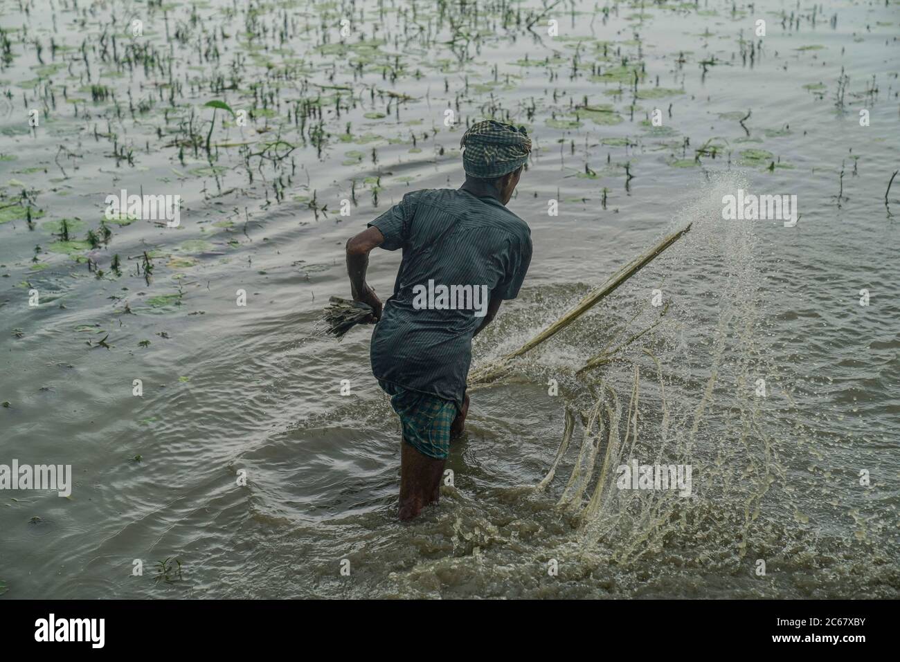 Dhaka, Dhaka, Bangladesh. 6th July, 2020. Bangladeshi farmers seen washing Jute in water in ...
