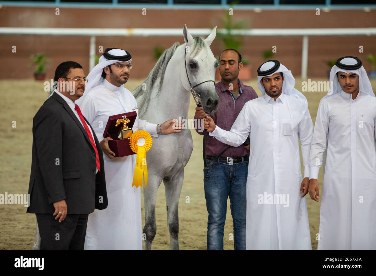 Arabian Horse Show at Qatar Equestrian Federation, Doha. Arabian Horses ...