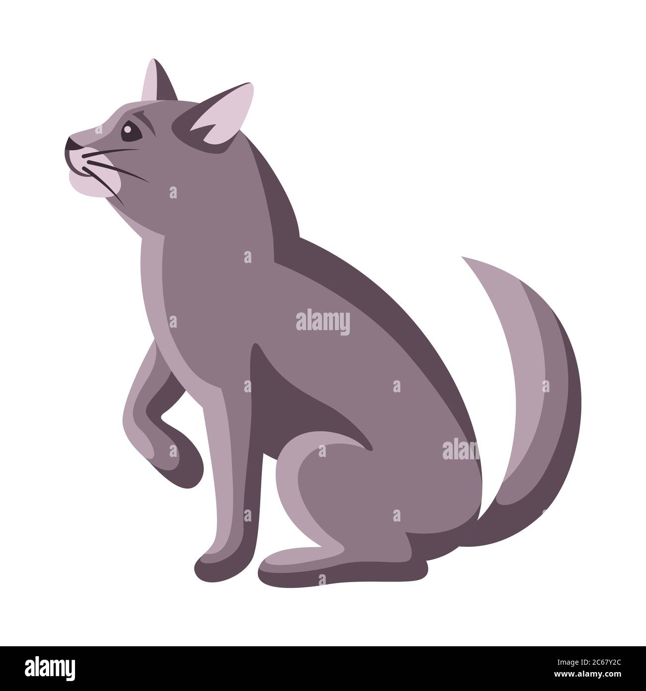Cat stylized graphic Cut Out Stock Images & Pictures - Alamy