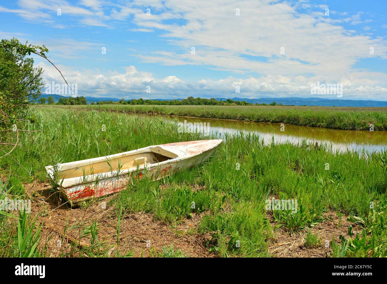 An old wooden fishing boat in the wetland area of Isola Della Cona in ...