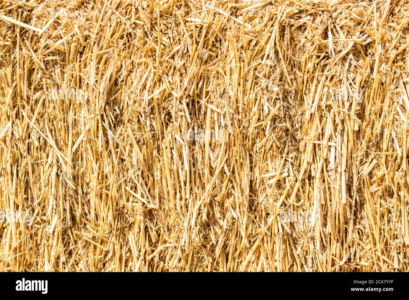 background texture-close up of a bale of golden hay on a ranch Stock ...