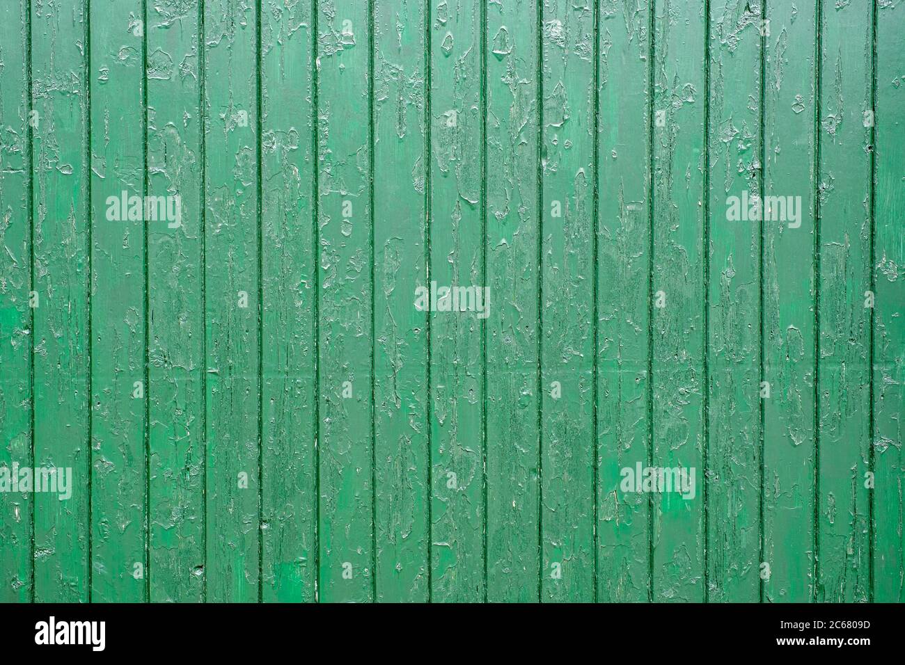 Green color old wooden weathered barn board with vertical planks ...