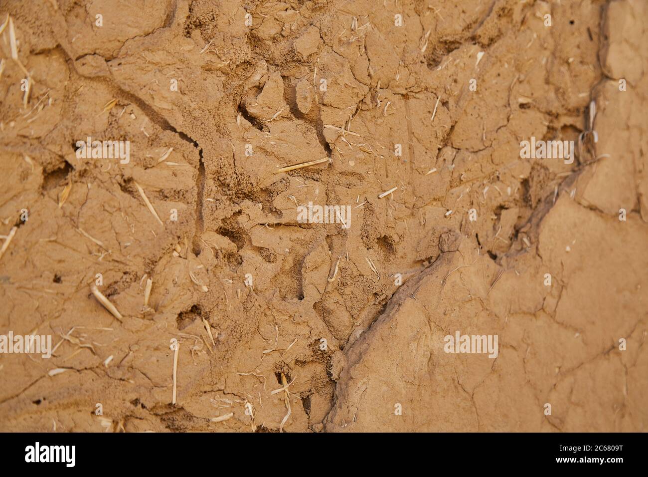 texture of an ancient sand wall in one of the old places . in one of ...