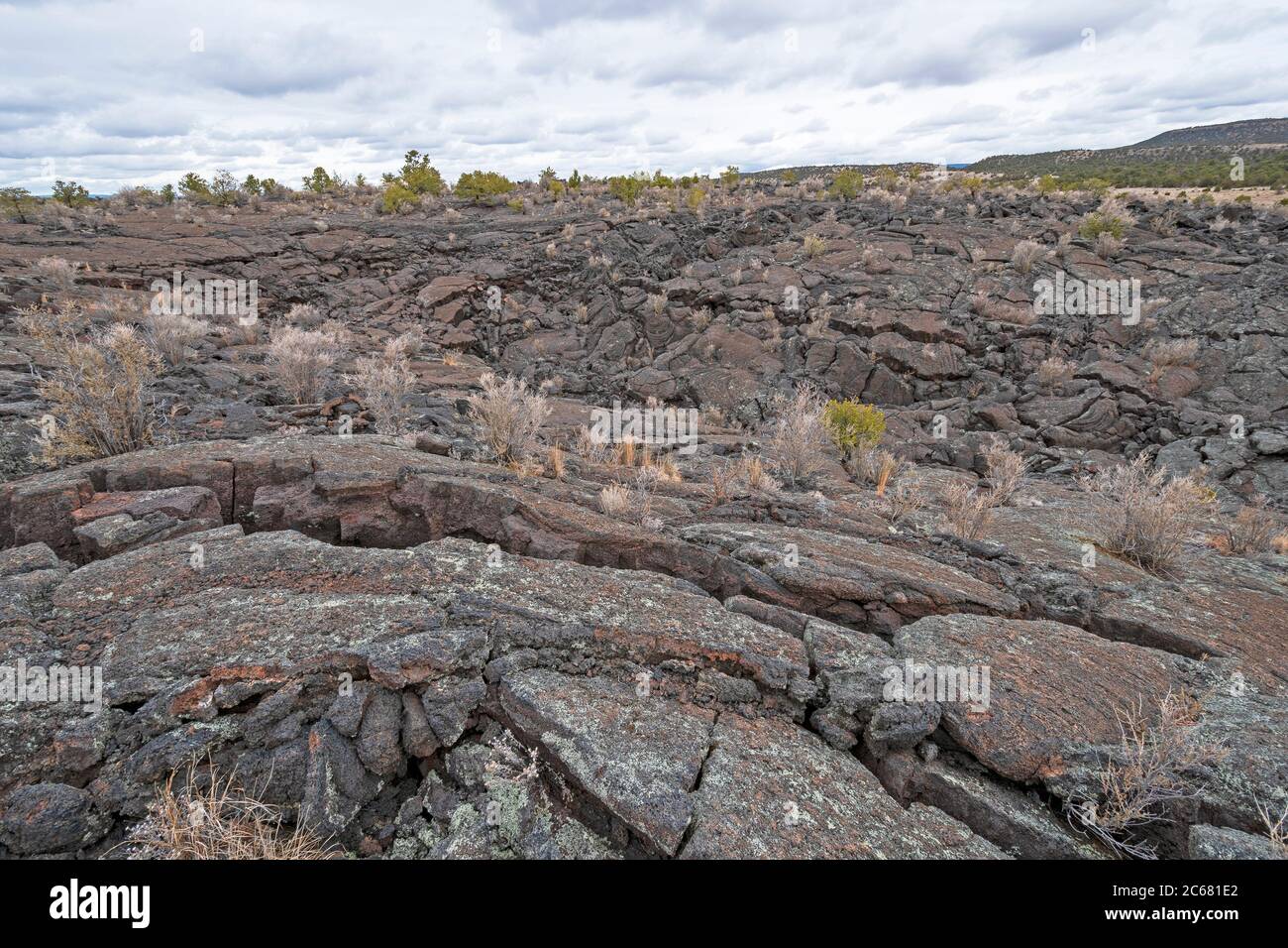 Broken Pahoehoe Rocks in a Lava Field in El Malpais National Monument ...