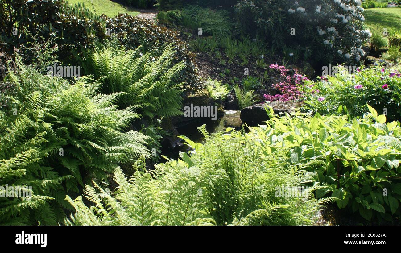 Beautiful Norwegian city of Oslo. Walking through the parks ...