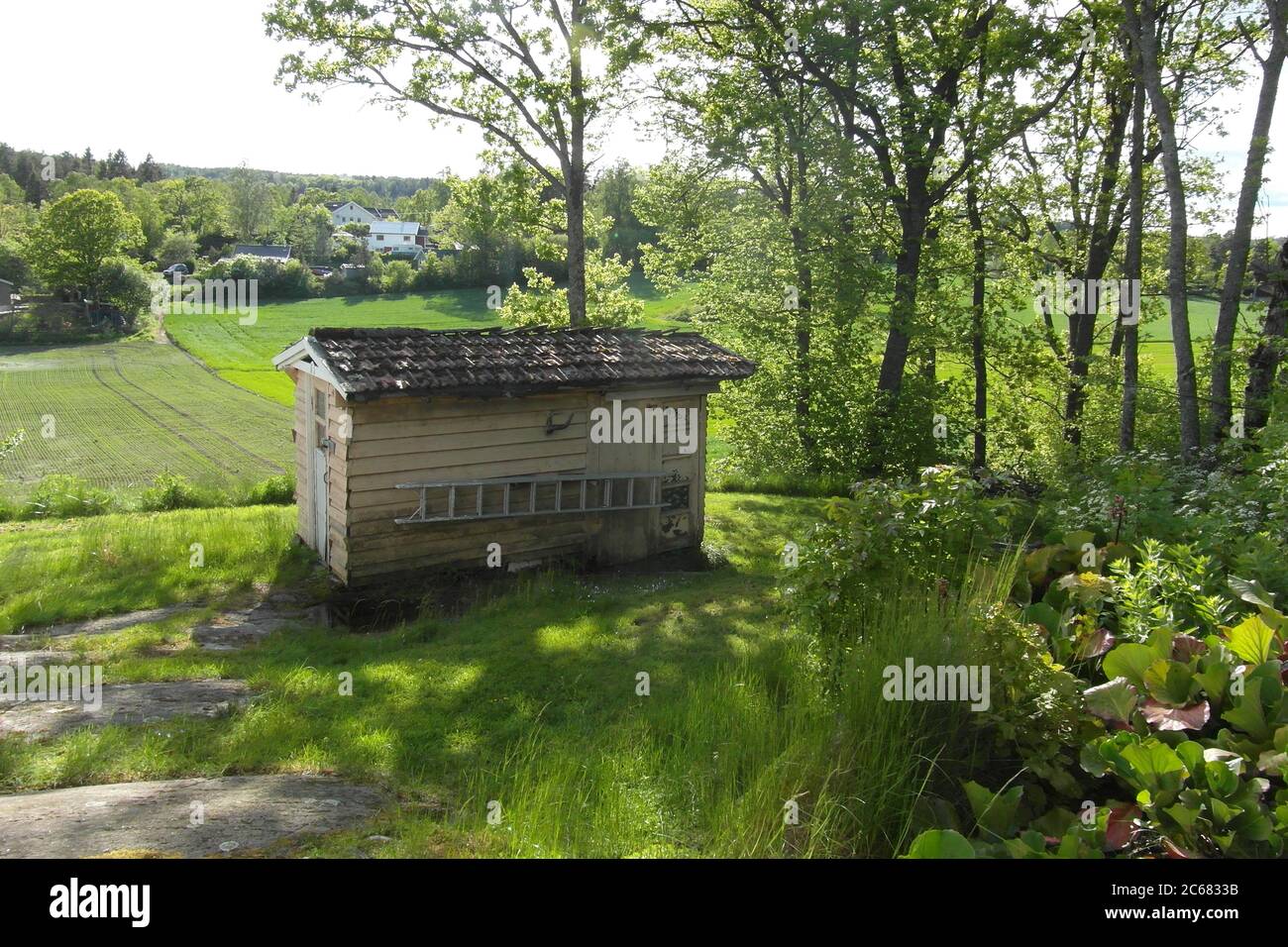 Beautiful Norwegian city of Oslo. Walking through the parks ...