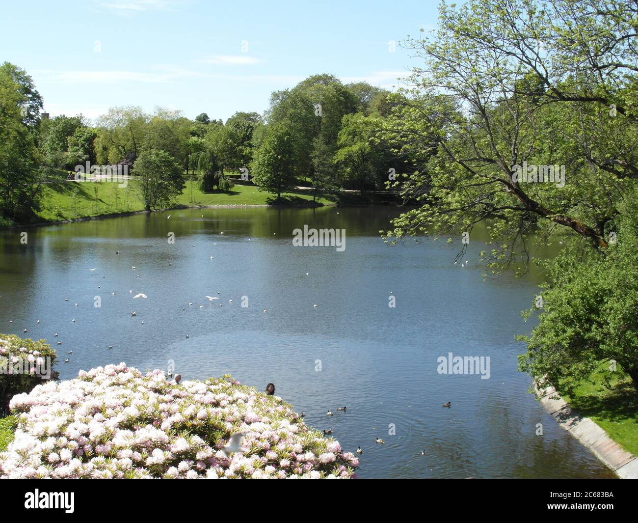 Beautiful Norwegian city of Oslo. Walking through the parks ...