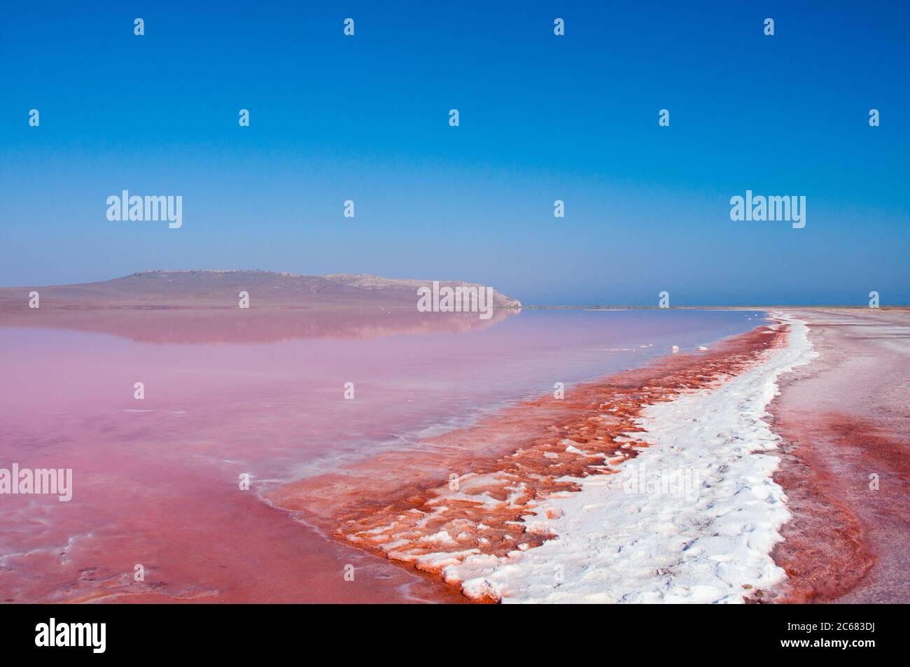 Pink salt lake on a sunny summer day. An amazing natural phenomenon ...
