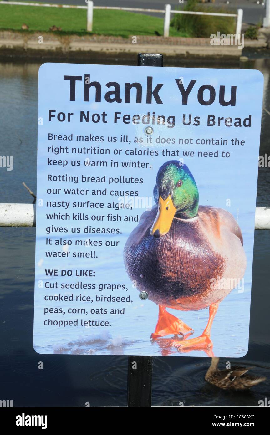 Thank you sign hi-res stock photography and images - Alamy