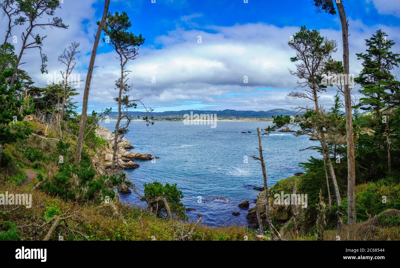 Cypress cove hi-res stock photography and images - Alamy