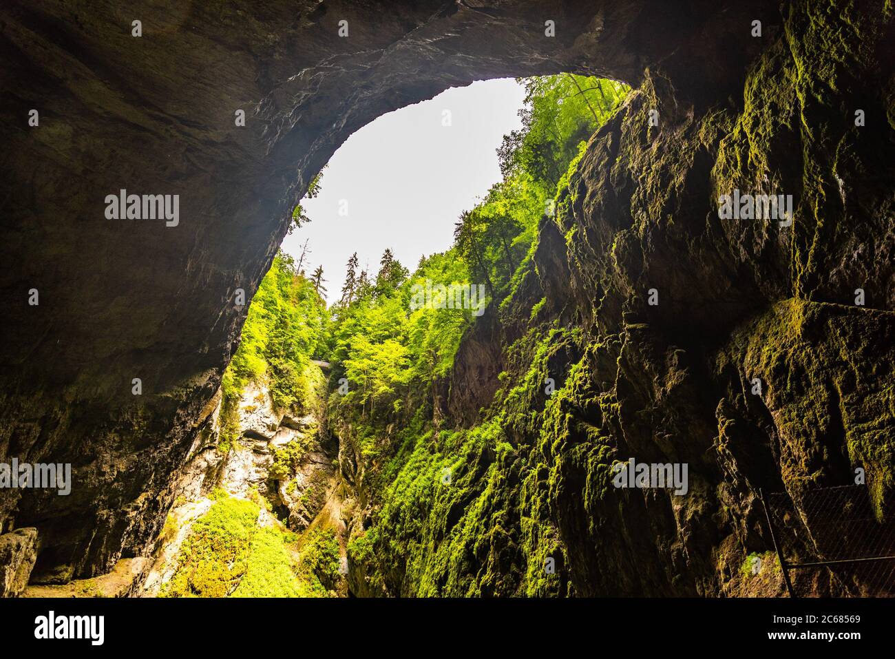 Macocha gorge hi-res stock photography and images - Alamy
