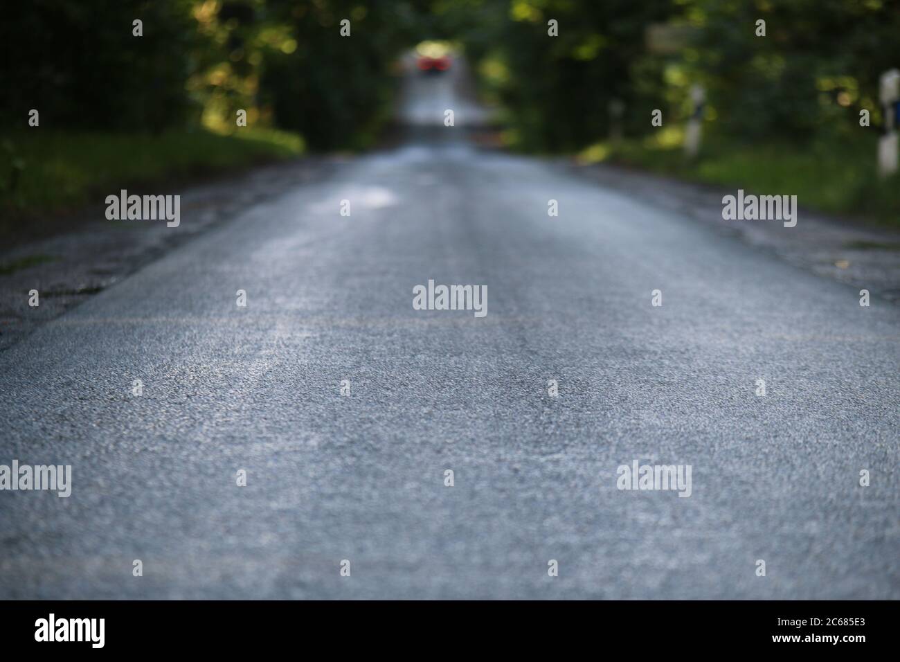 Asphalt road after the rain in the evening Stock Photo - Alamy