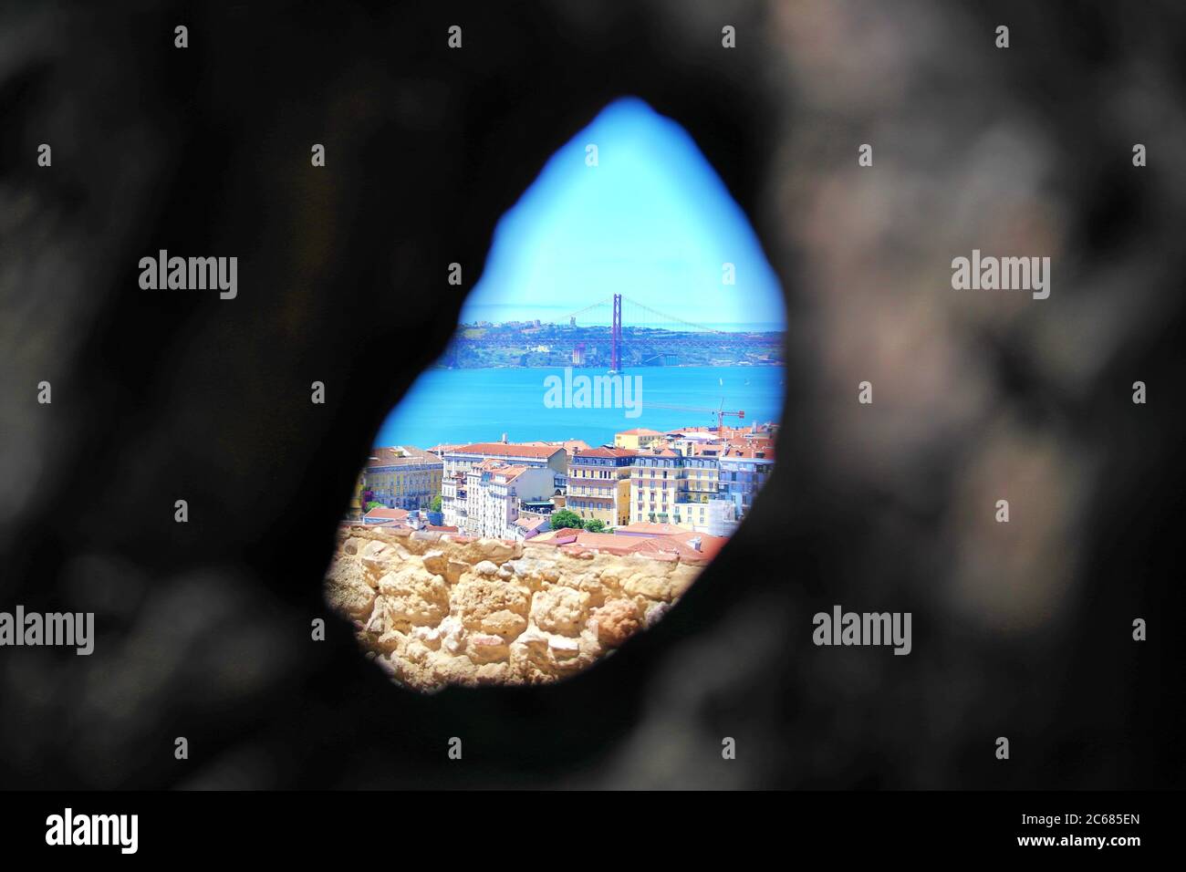 An olive tree and Lisbon, Portugal Stock Photo - Alamy