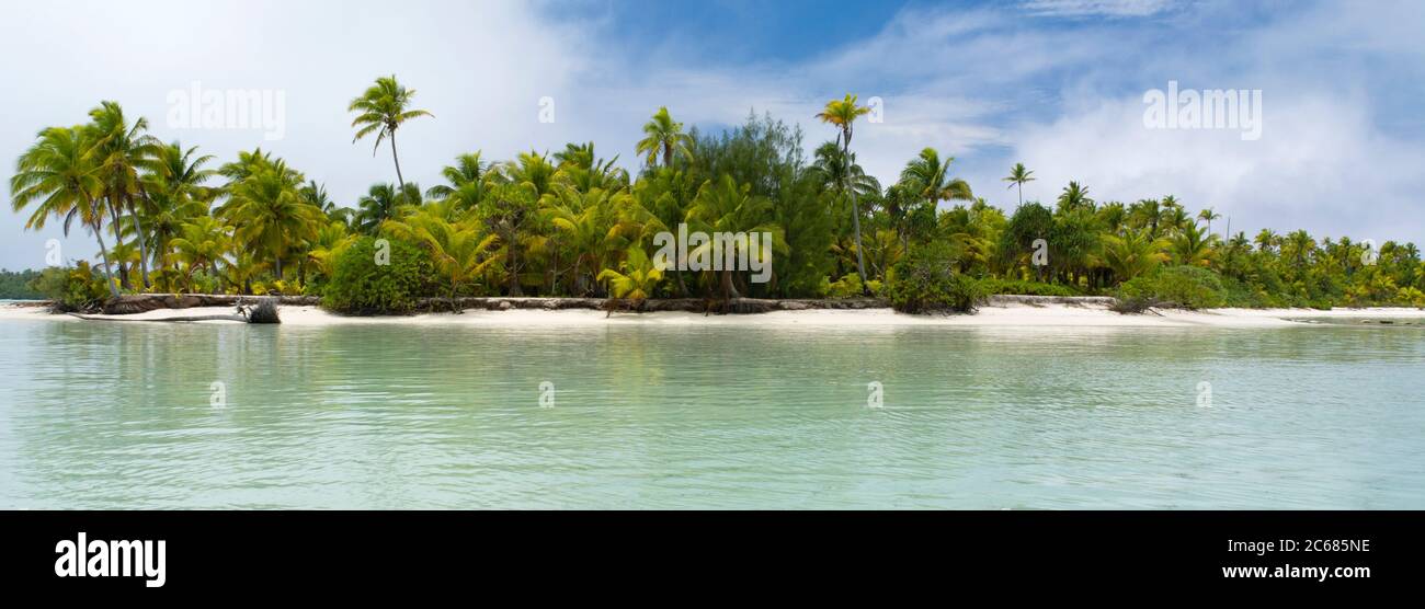 Coconut palm trees on tropical beach, Tapuaetai Motu, Aitutaki, Cook ...