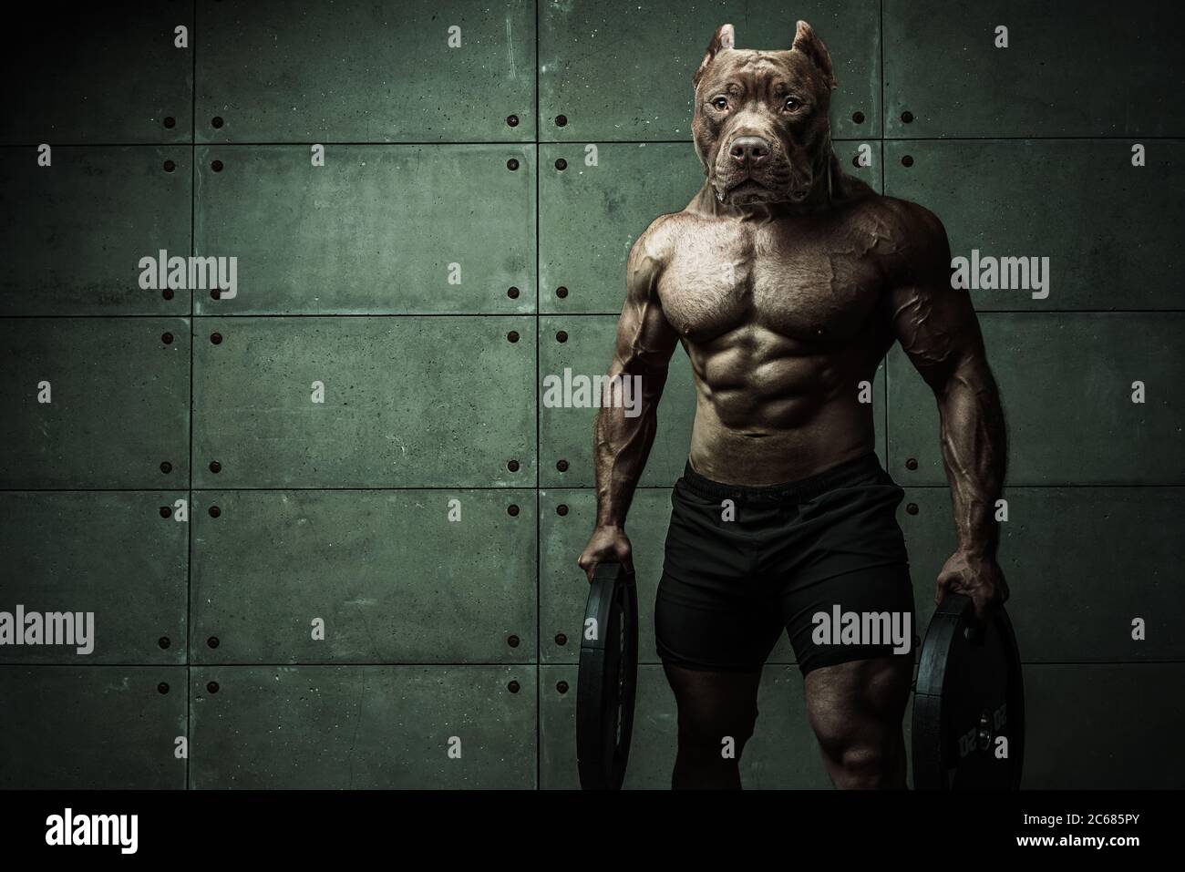 Bodybuilder man hi-res stock photography and images - Alamy