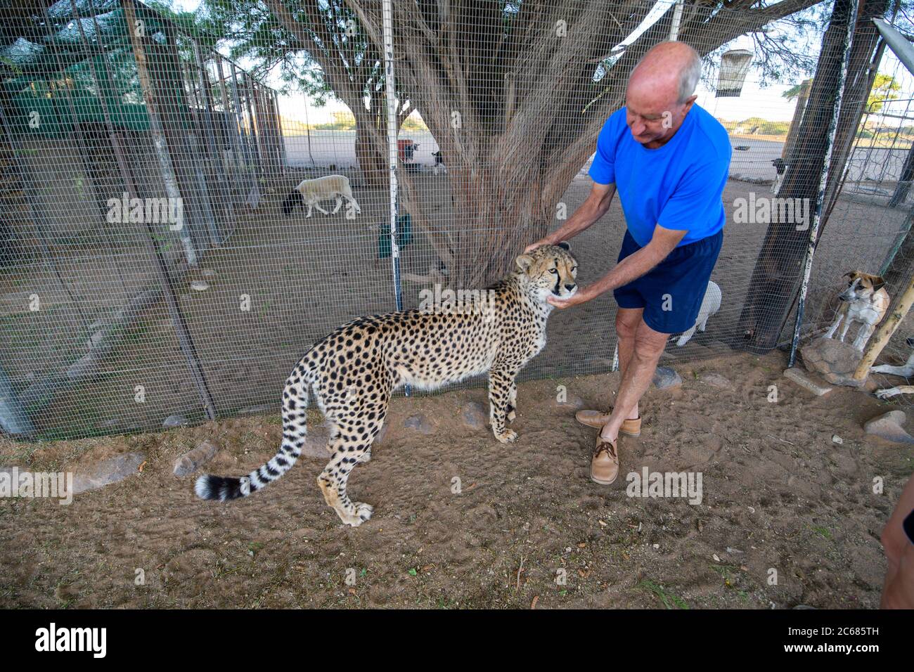 Man educates woman on his rescue efforts of his captive cheetahs in ...