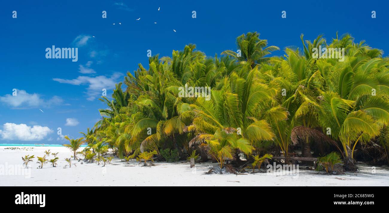 Cook islands people hi-res stock photography and images - Alamy