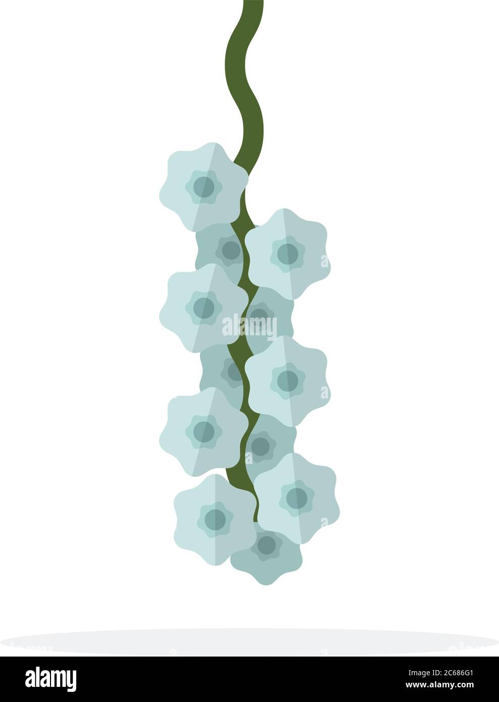 Herb bundle bunch Stock Vector Images - Alamy