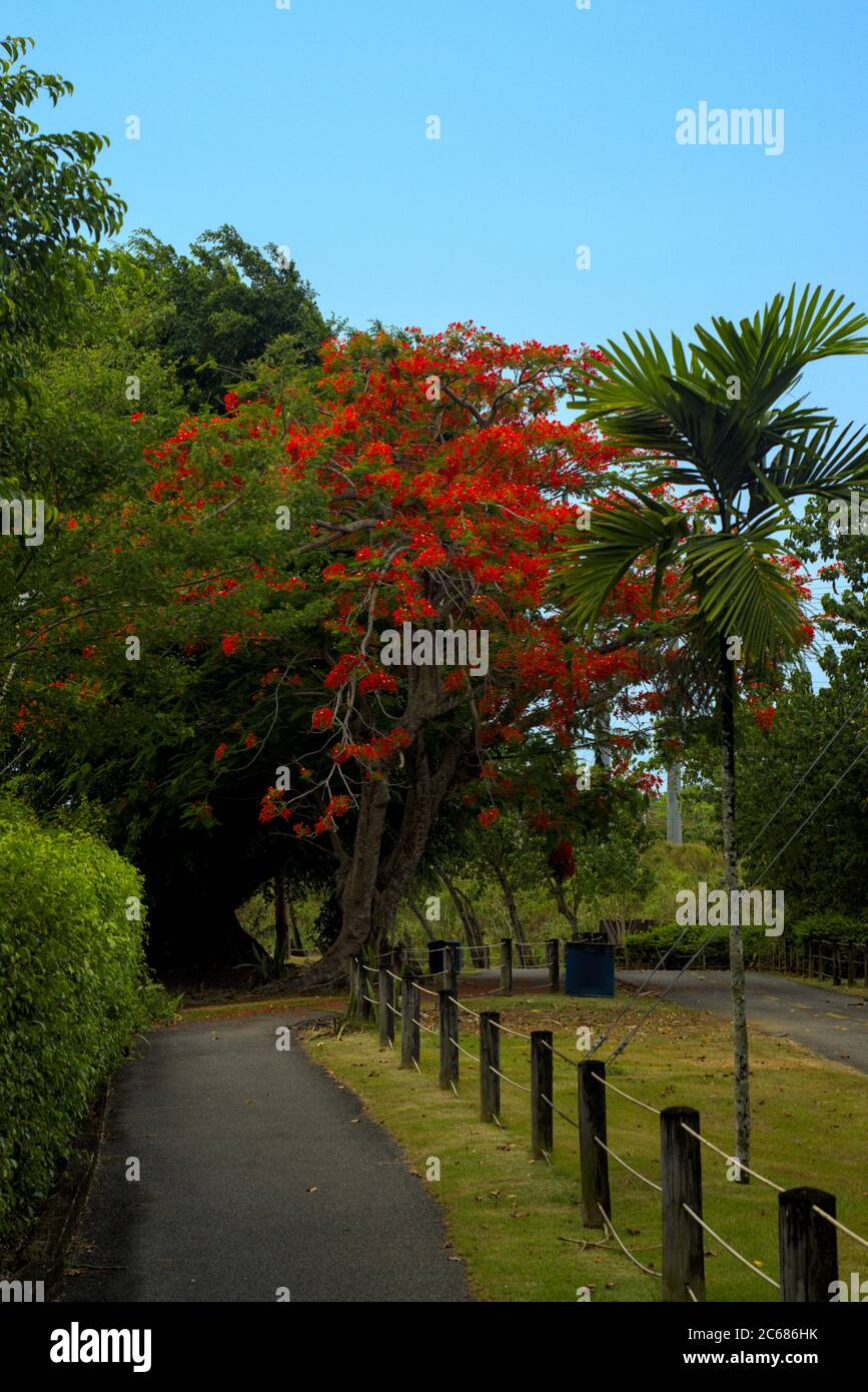 Rio bayamon hi-res stock photography and images - Alamy