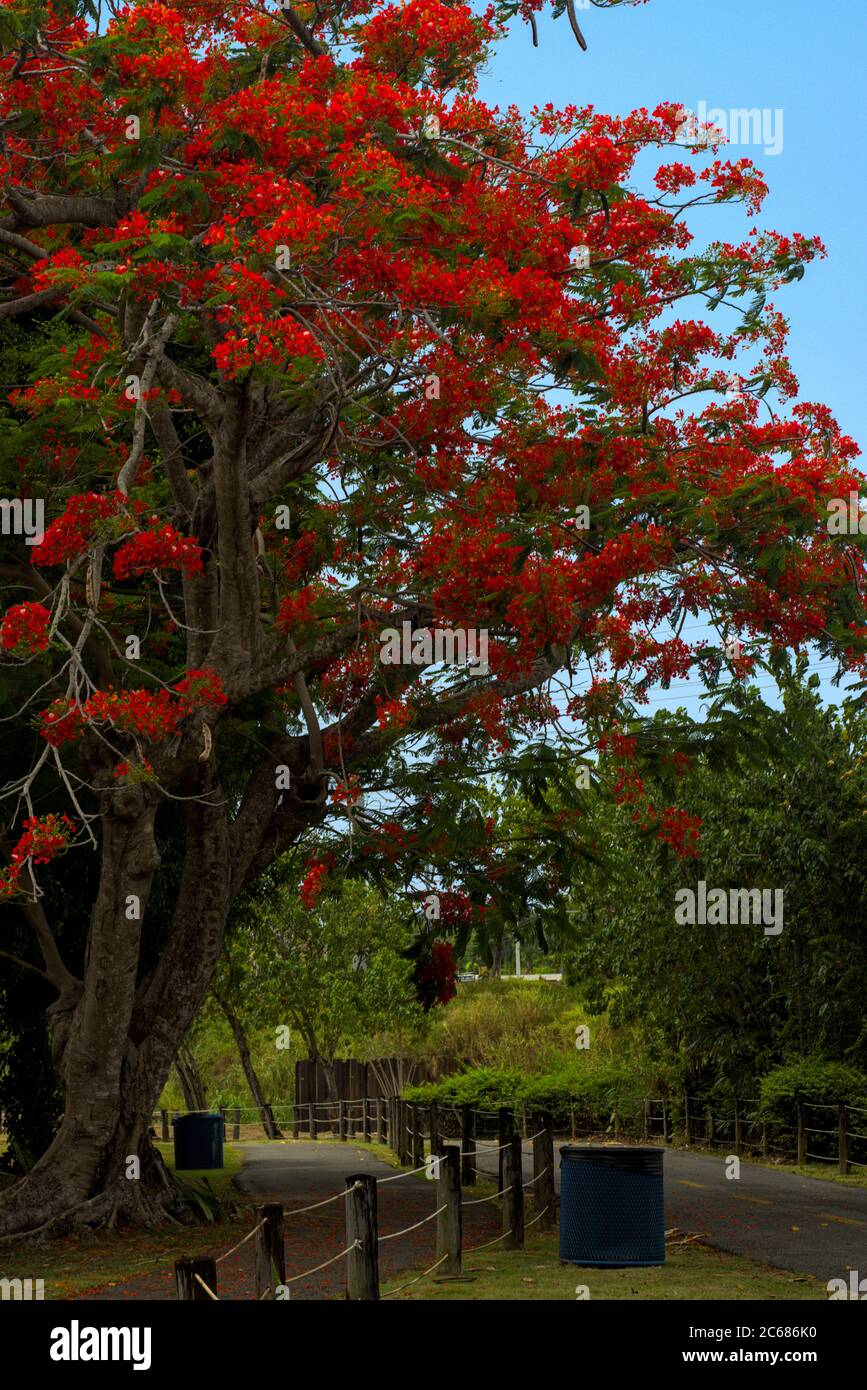 Lineal painting hi-res stock photography and images - Alamy