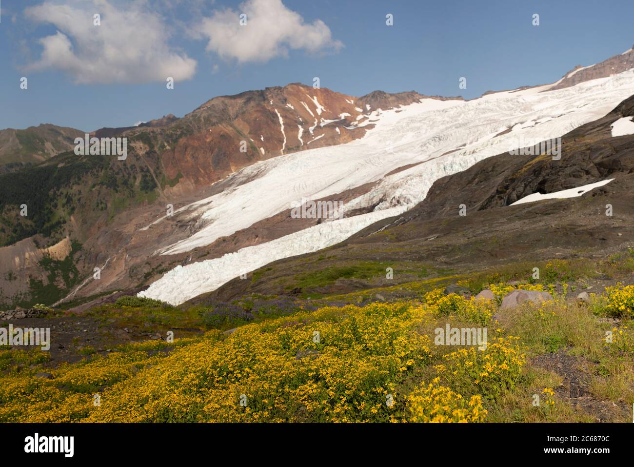 Mt Baker - Snoqualmie national forest alpine in the summer Stock Photo ...