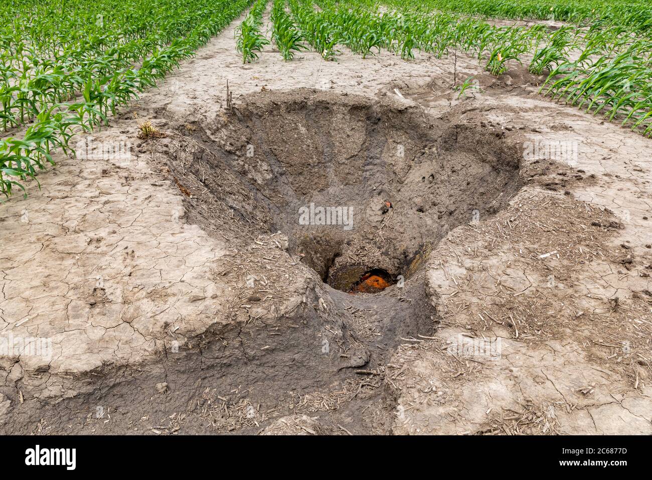 Broken and damaged clay field tile drainage system caused large ...