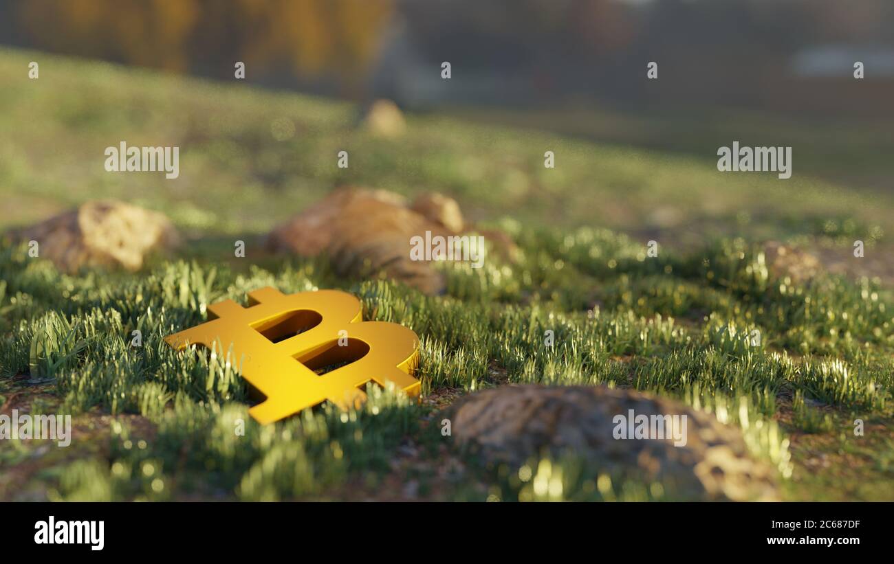 Half buried treasure hi-res stock photography and images - Alamy