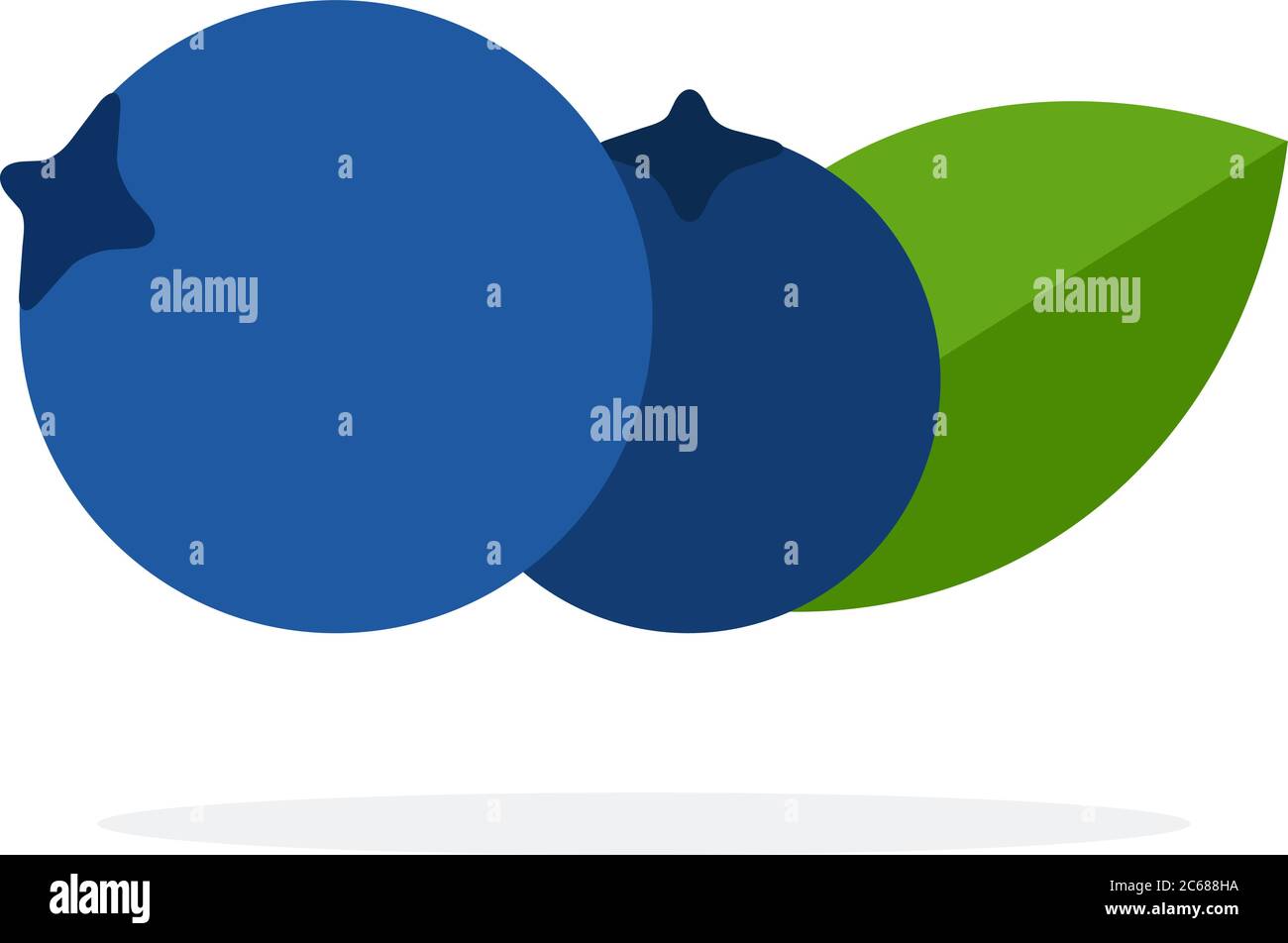 Berries blueberry side view vector flat material design isolated object ...