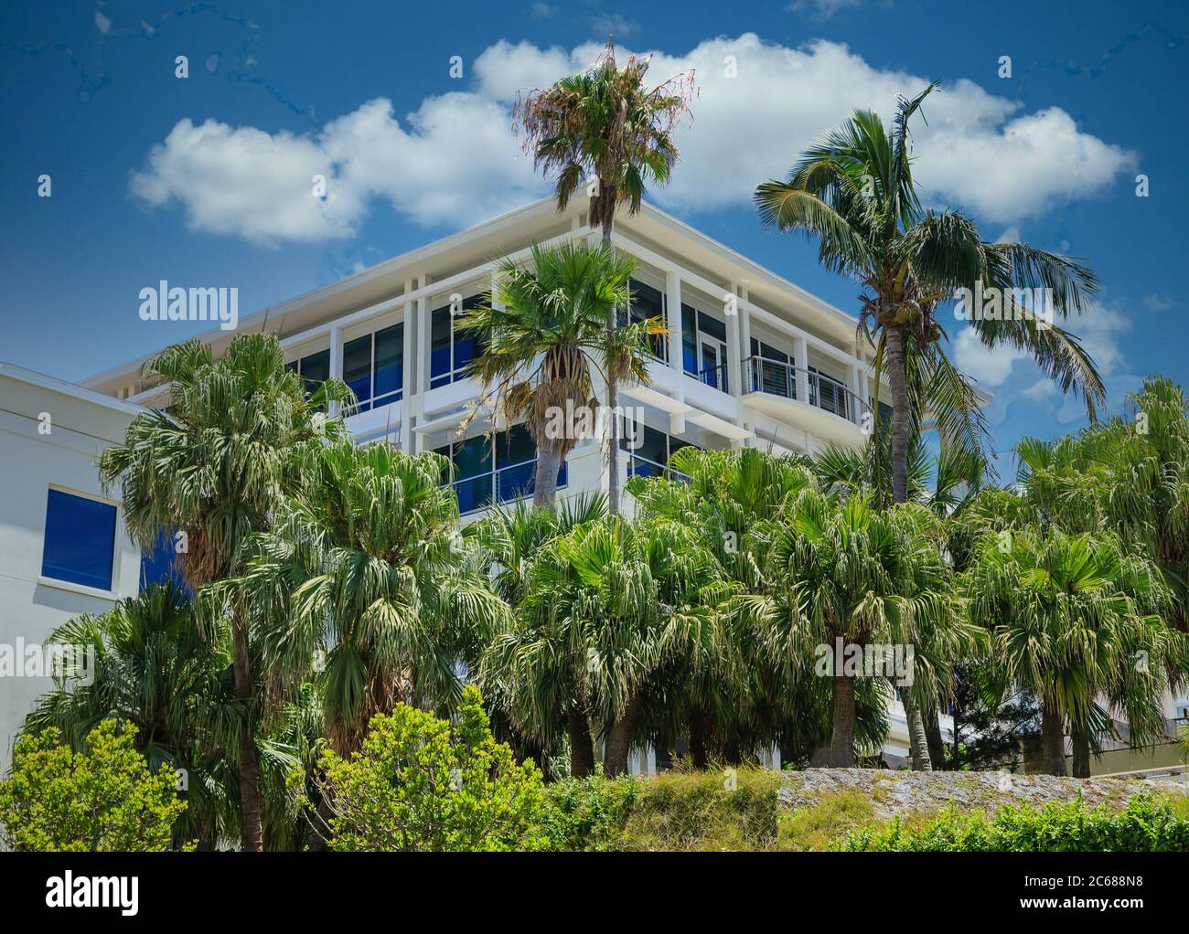 Palm Trees by White Plaster Hotel Stock Photo - Alamy