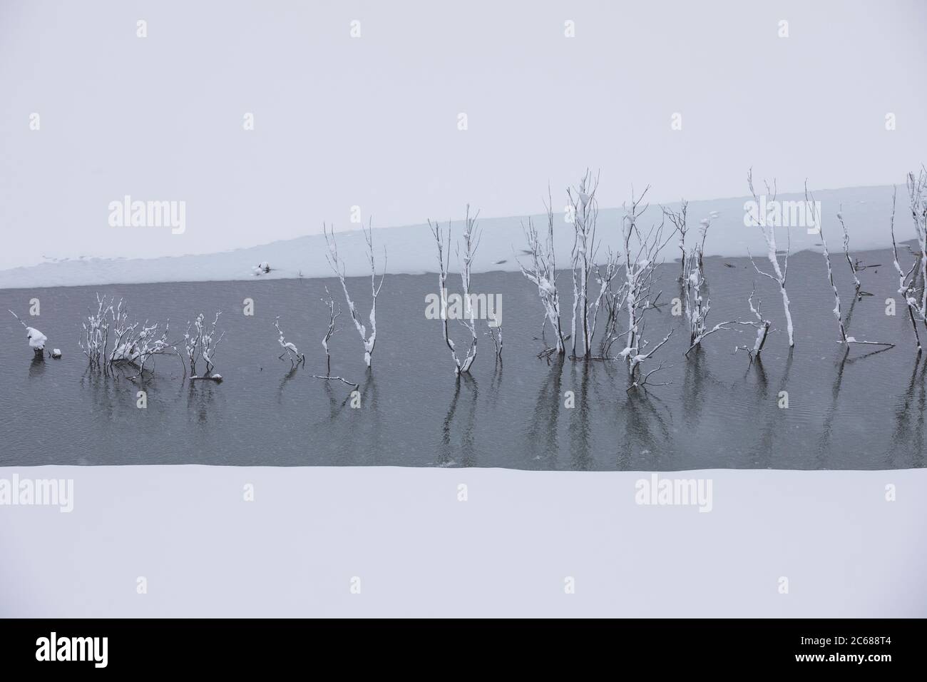 Man emerging water hi-res stock photography and images - Alamy