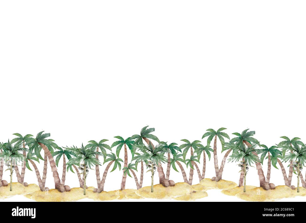 Palm Tree Border