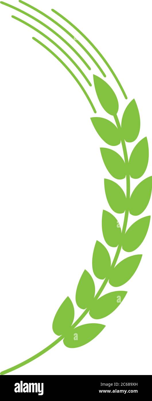 spikes plants organic product icon vector illustration design Stock ...