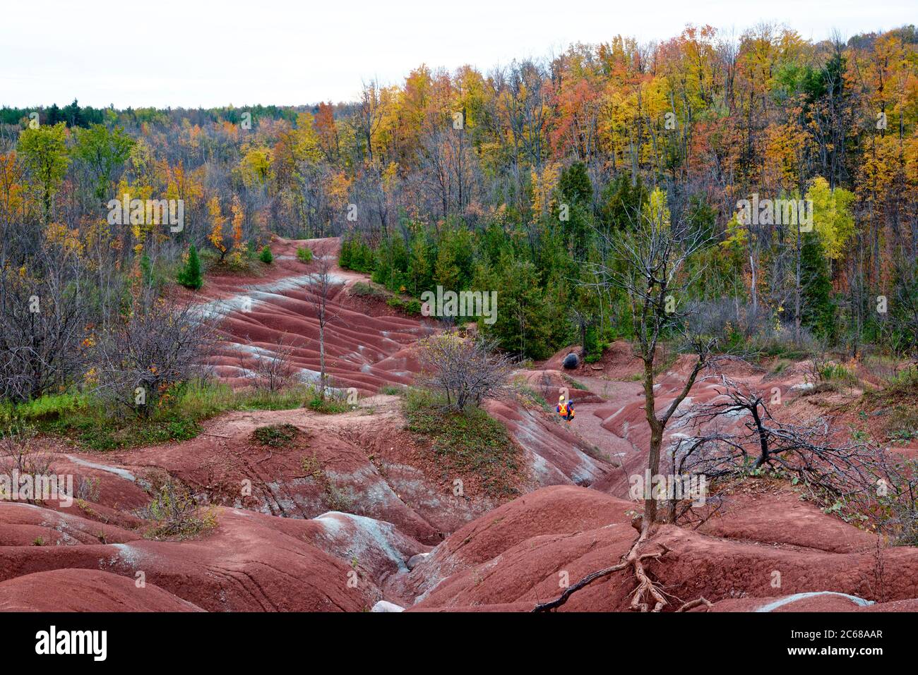 The spectacular landscape of the Cheltenham Badlands surrounded by a ...