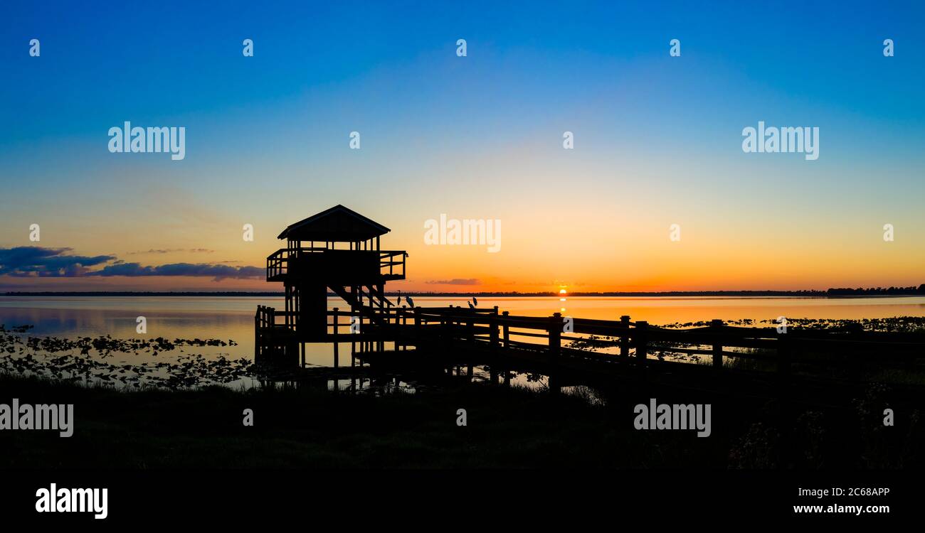 Usa and wales hi-res stock photography and images - Alamy