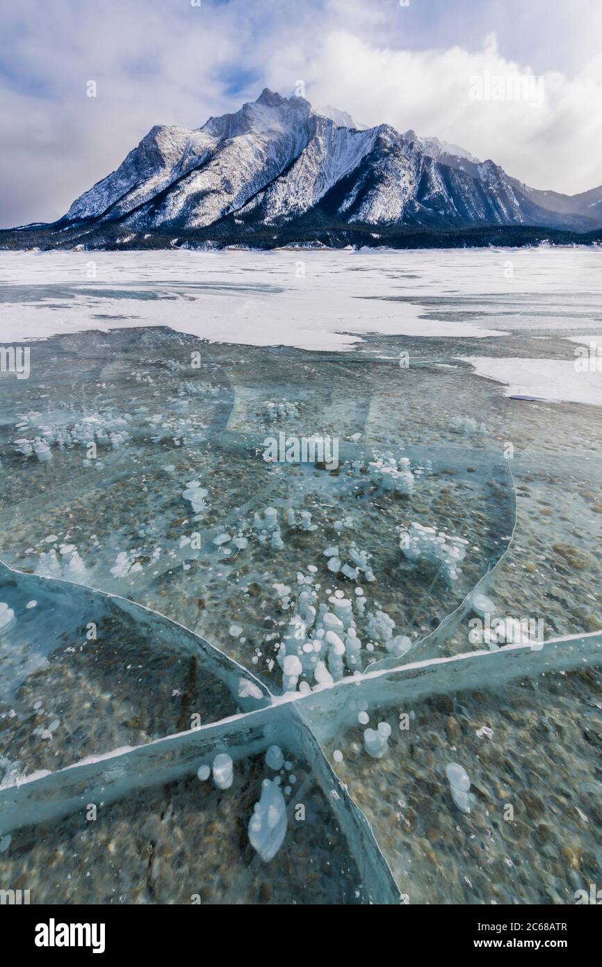 Methane bubbles frozen in ice, Abraham Lake, Alberta, Canada Stock ...