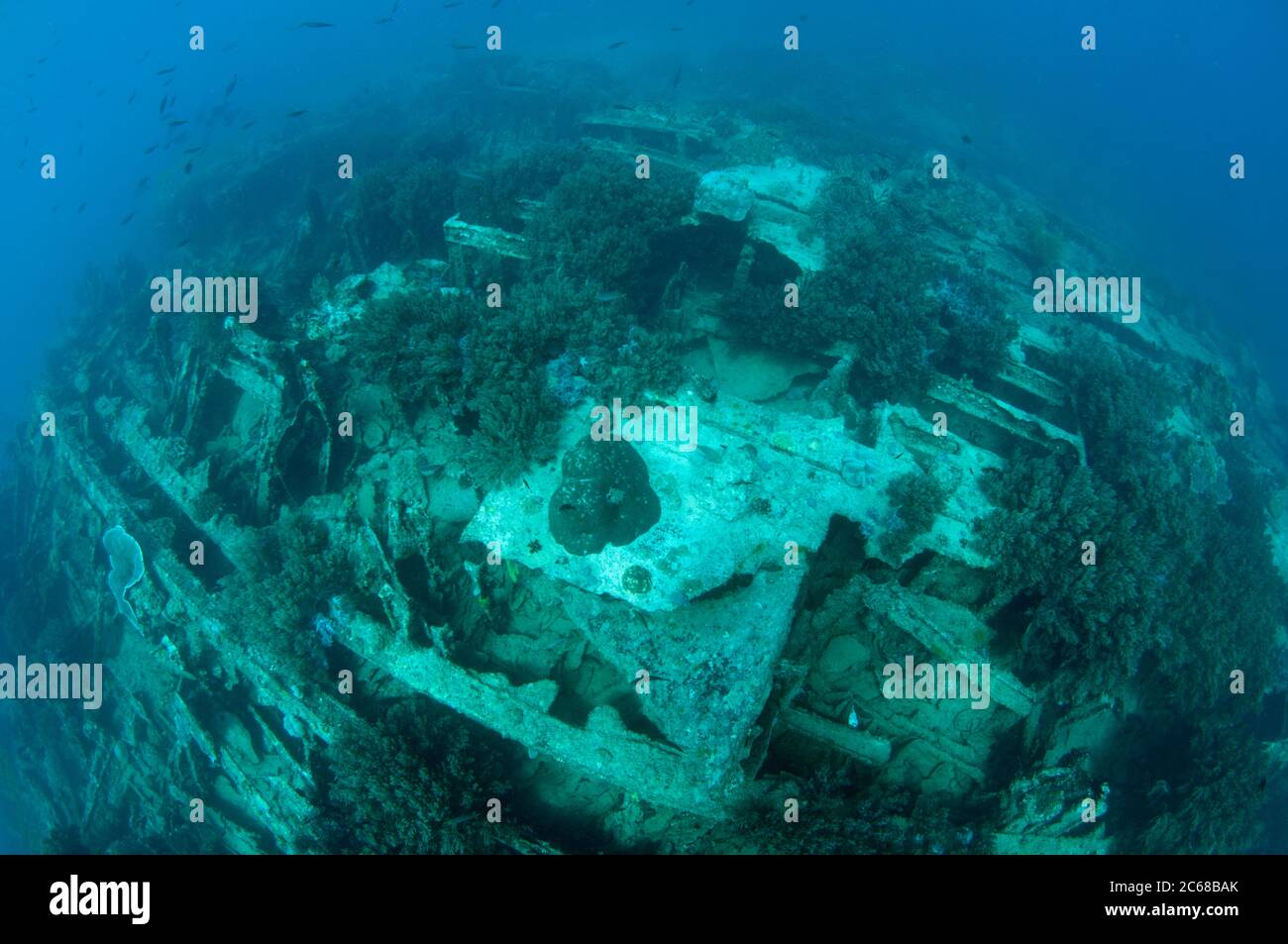 Old war equipment, Junkyard dive site, Sansopor Raru, Raja Ampat, West ...