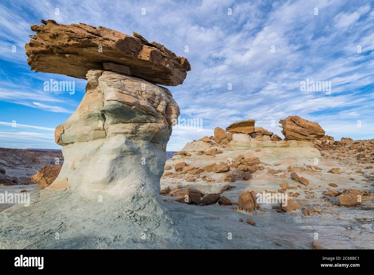 Stud horse hi-res stock photography and images - Alamy