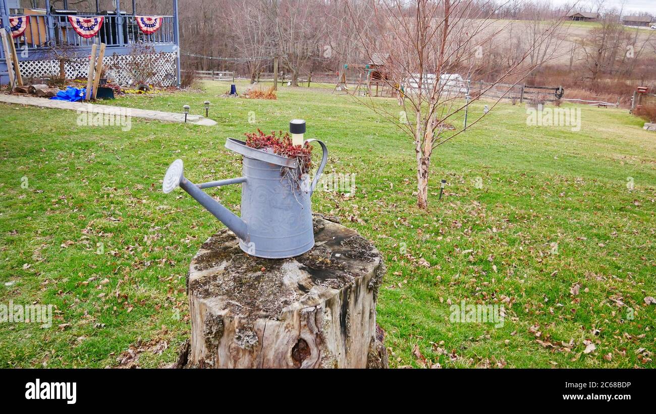 House on a tree stump hi-res stock photography and images - Alamy