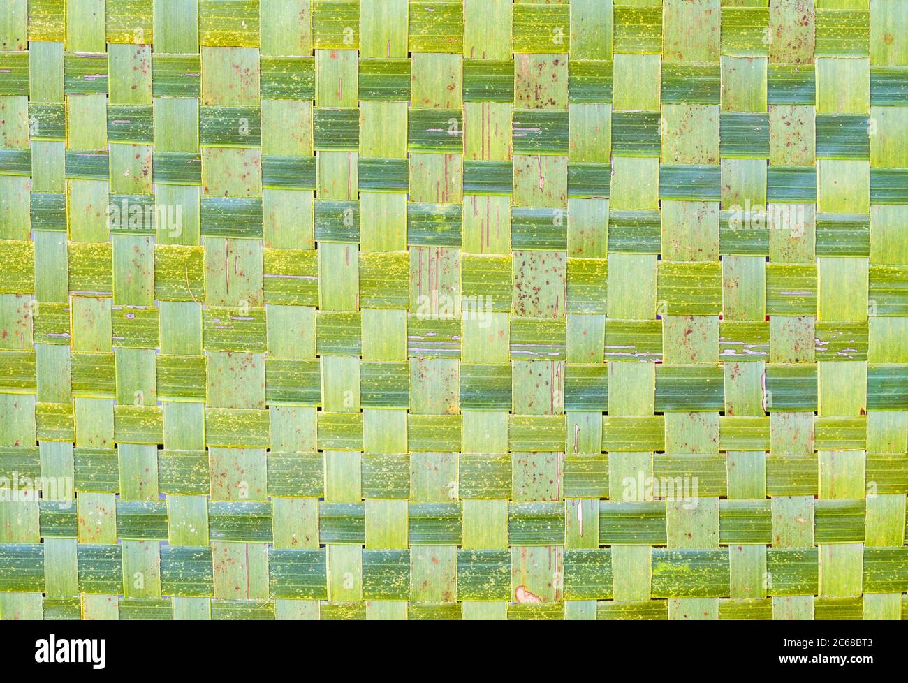 Zigzag interlocking of coconut leaves Stock Photo - Alamy
