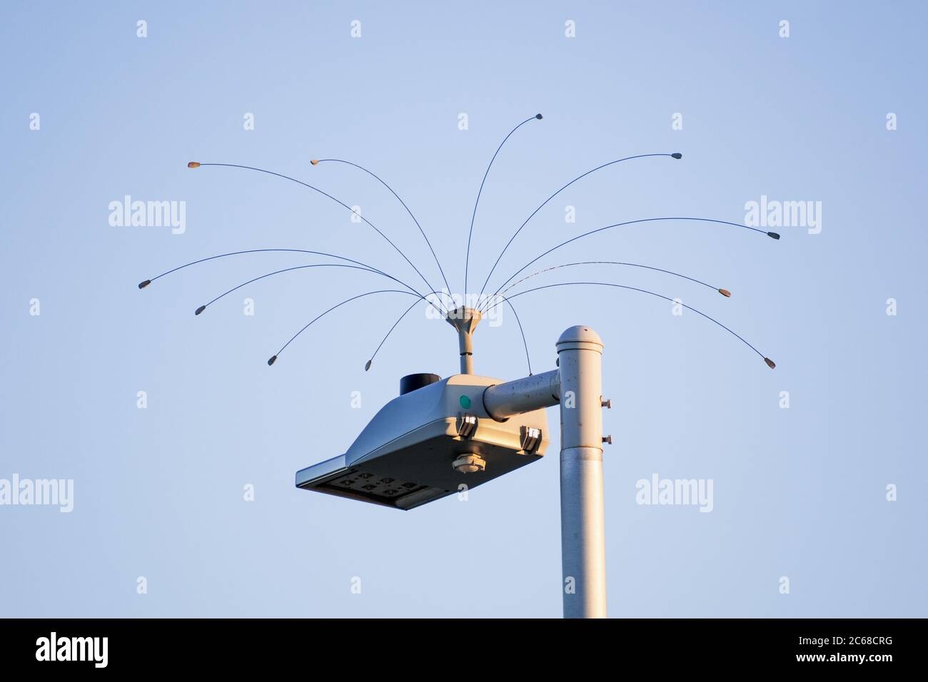 Humane bird deterrent device installed on top of a street lamp; San ...